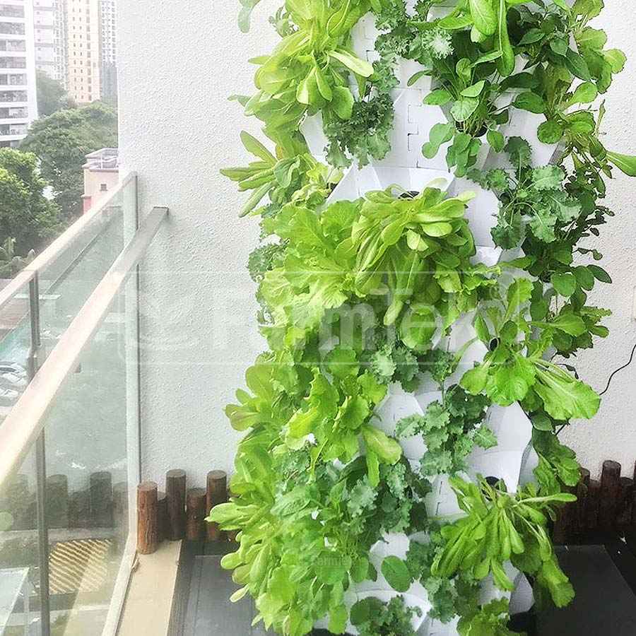 Hydroponic Kit Systems – Farmtek Australia