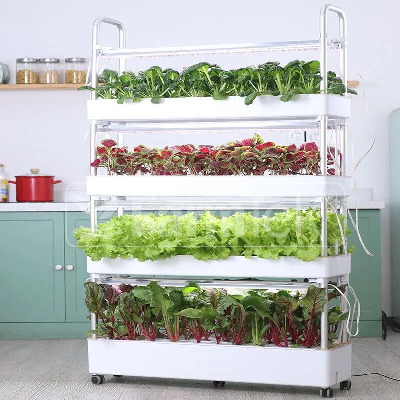 Hydroponic Kit Systems – Farmtek Australia