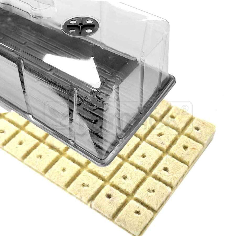Professional Hydroponic Propagation Kit (Tray Dome Rockwool Cubes ...